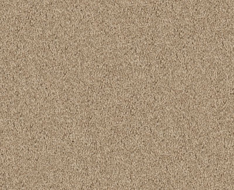 Shaw Nantucket Summer 12' 00116 Sand Dollar Textured Polyester Carpet ...