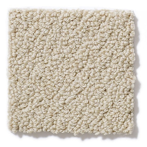 Anderson Tuftex Personal Style 00212 Sandpiper Loop Nylon Carpet ...