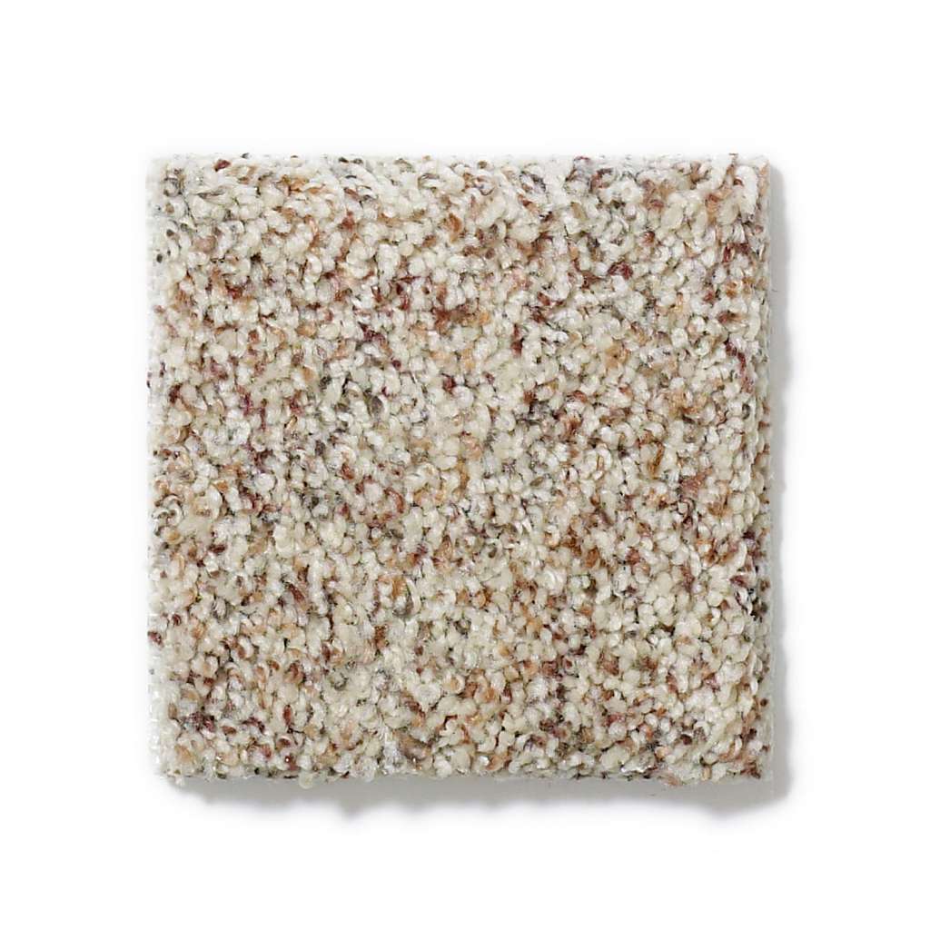 Shaw Floor Studio Just A Spoonful (A) 00139 Sands Of Time Nylon Carpet ...