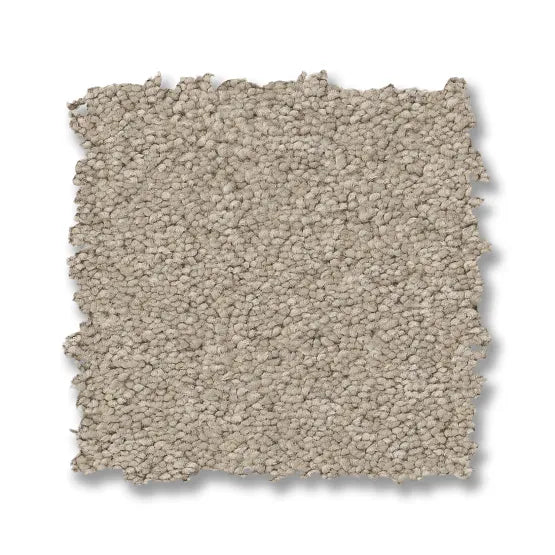Anderson Tuftex Elegant Beauty 00172 Sandshell Nylon Carpet — Stone ...
