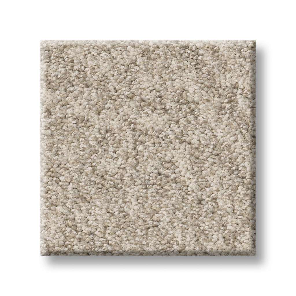 Shaw Foundations Alluring Canvas 00743 Sandstone Pattern Nylon Carpet ...