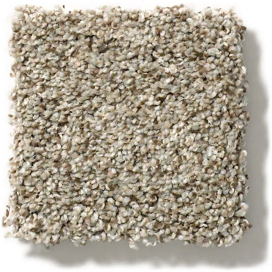 Anderson Tuftex Pet Perfect The Bark Side II 00272 Sandstone Carpet ...