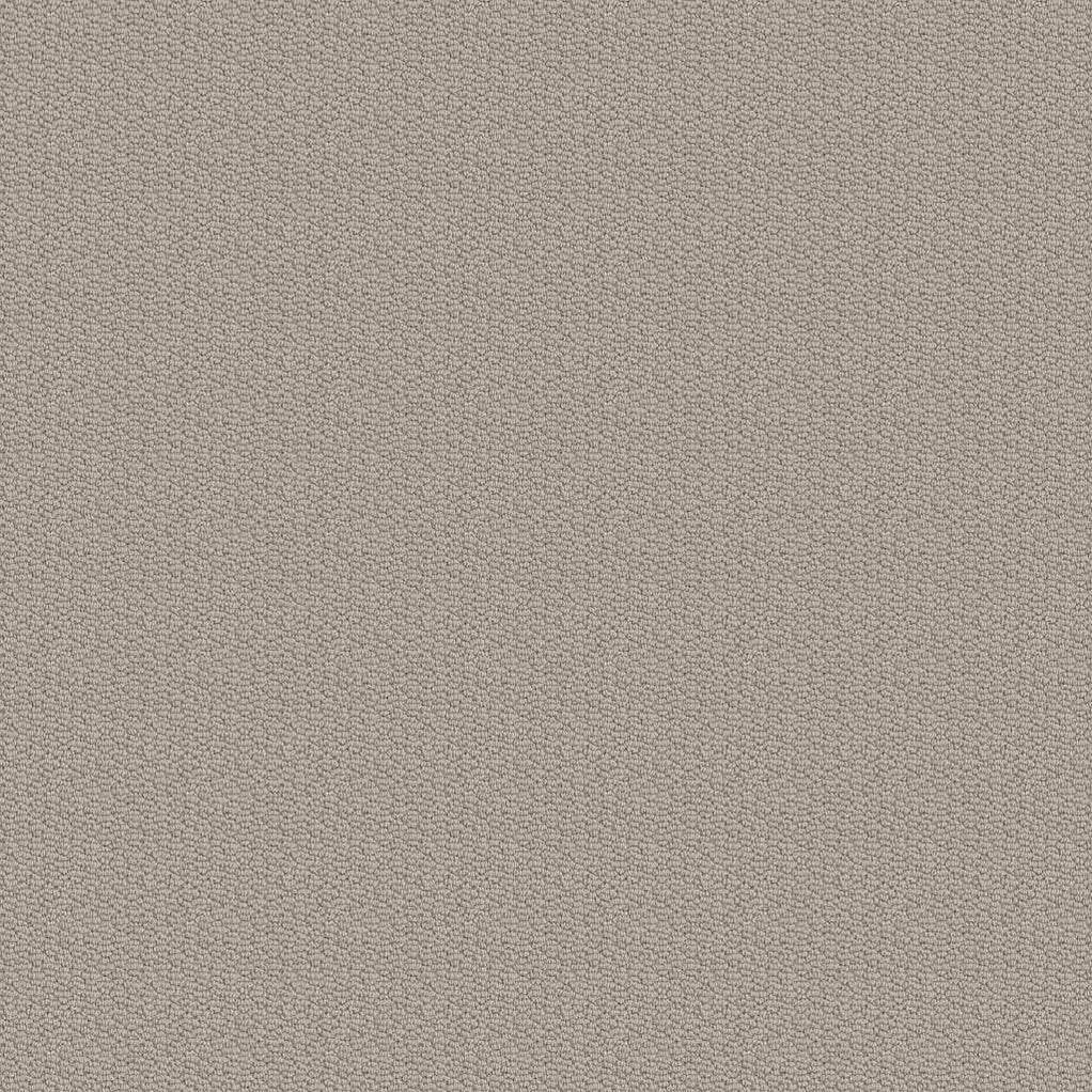 Shaw Simply The Best Channeling 00108 Sandstone Loop Polyester Carpet ...