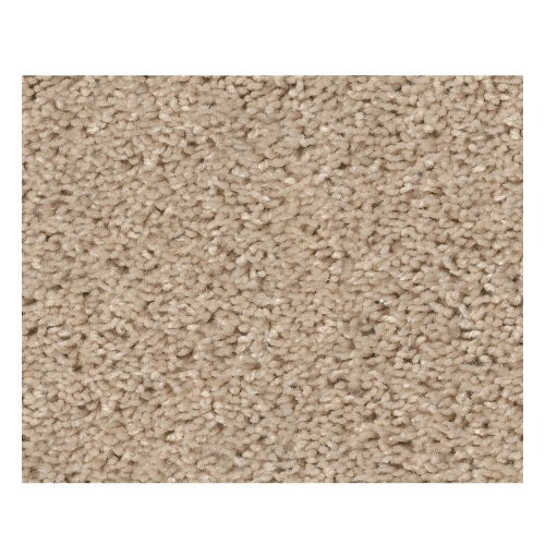 Shaw To The Point 00115 Sandstone Textured Polyester Carpet — Stone ...