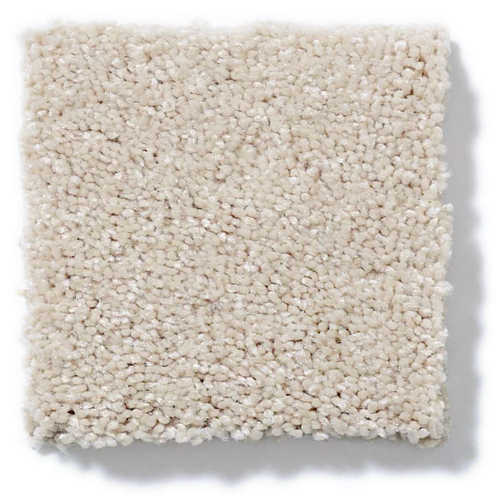 Shaw That's Right 00101 Sandy Shore Textured Nylon Carpet — Stone ...
