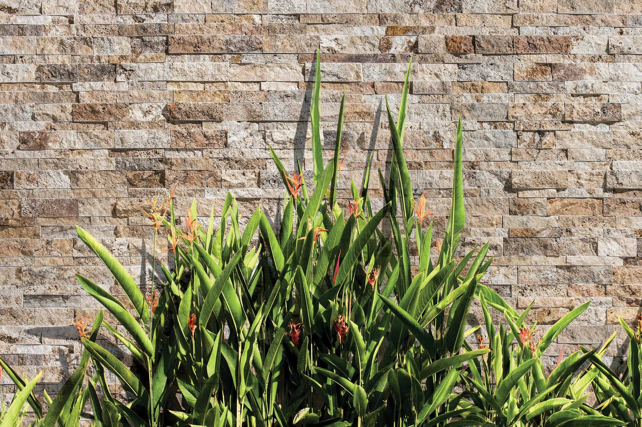 Arizona Tile Scabos 3D Stack Split Face Travertine Ledgestone — Stone ...