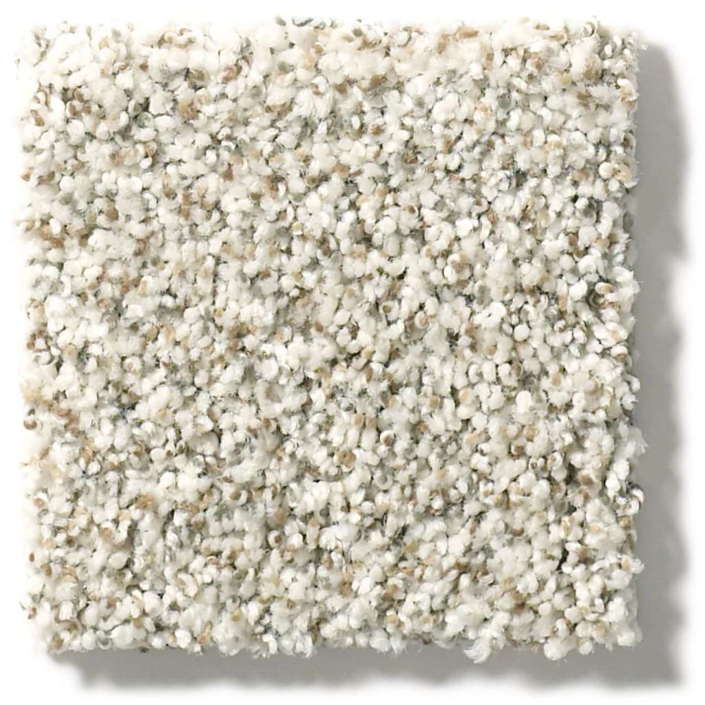 Shaw Foundations Make It Work 00172 Scenic Drive Textured Nylon Carpet ...