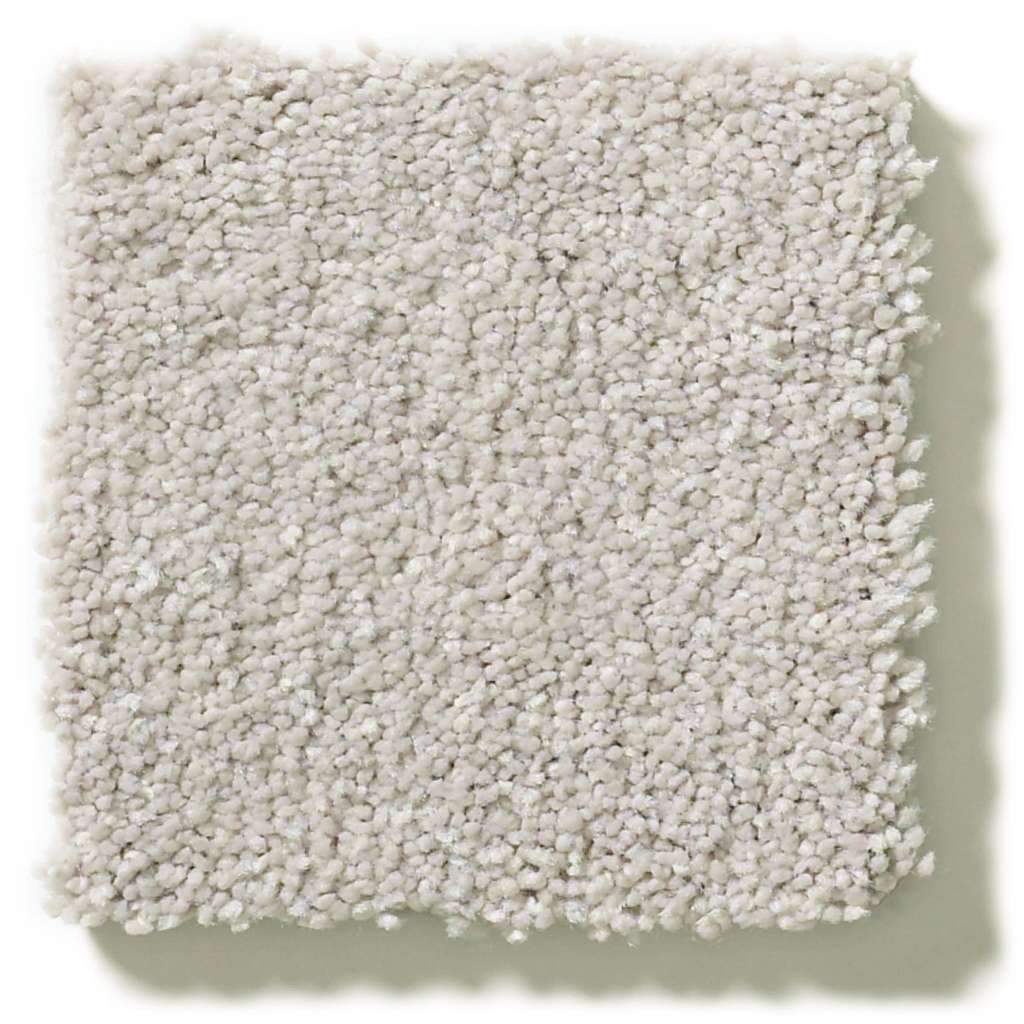 Shaw Simply The Best Montage I 101S Sculptor Clay Polyester Carpet ...
