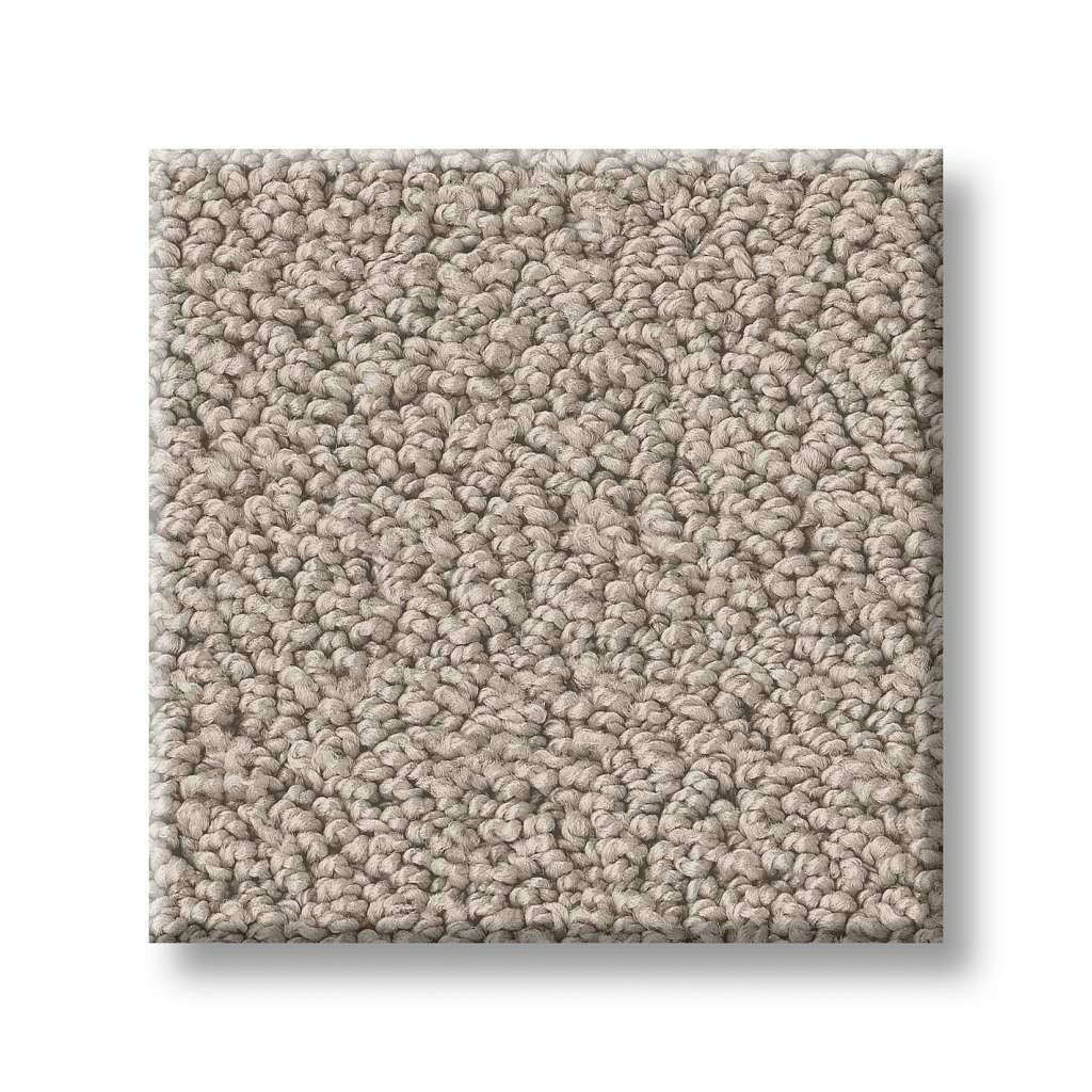 Shaw Pet Perfect Intricate Trace 00115 Sculpture Polyester Carpet ...