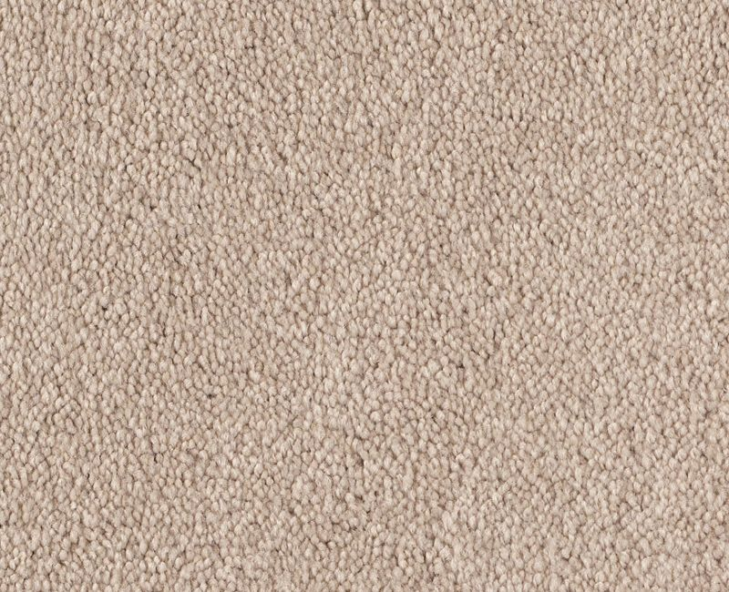 Shaw Magic Happens PV I 00142 Sea Salt Textured Nylon Carpet — Stone ...