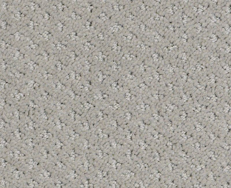 Shaw Gentle PV 00512 Sea Salt Pattern Nylon Carpet | Lowest Price ...