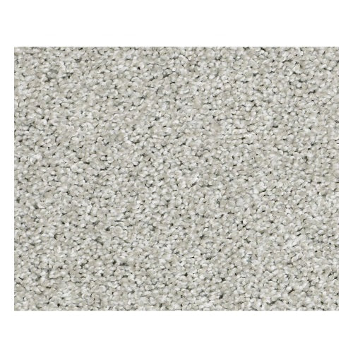 Shaw Striking 00512 Sea Salt Textured Nylon Carpet | Lowest Price ...