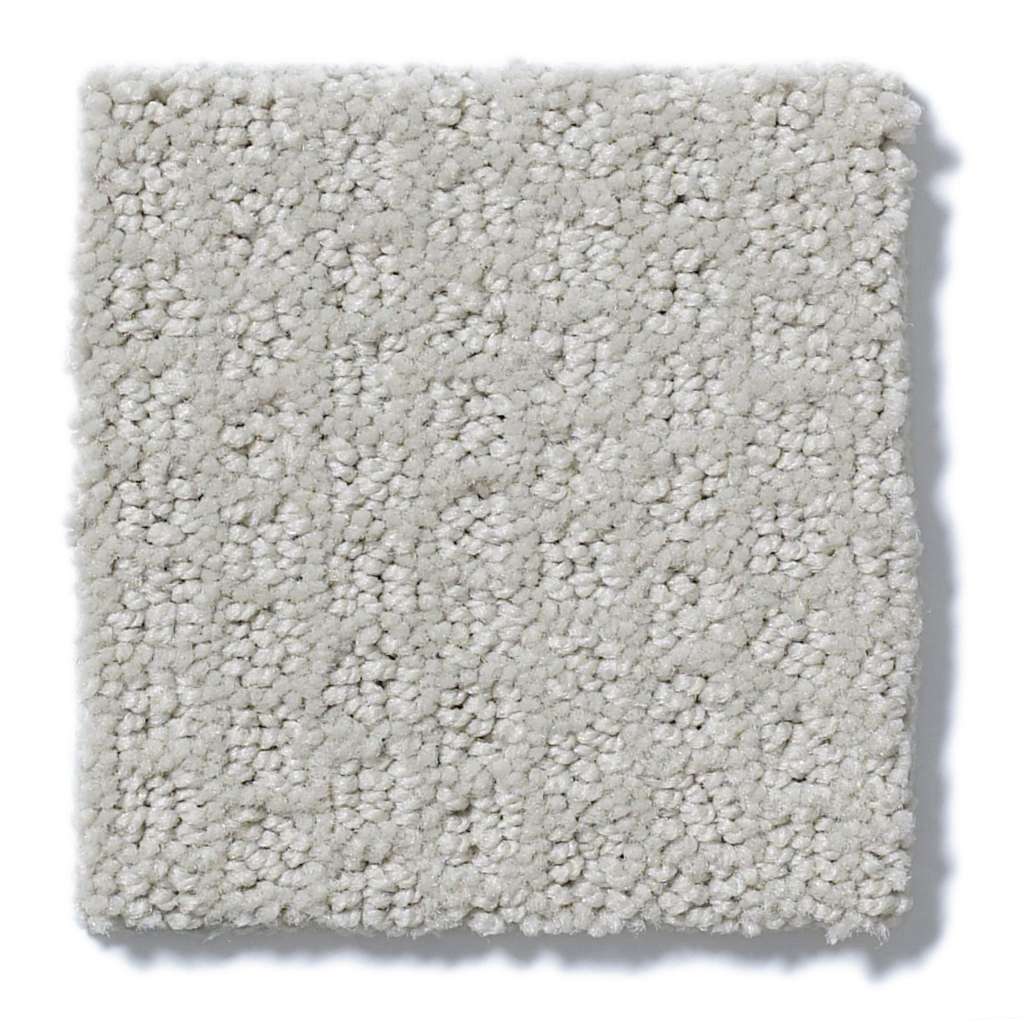 Shaw Simply The Best Pacific Trails 00512 Sea Salt Nylon Carpet — Stone ...