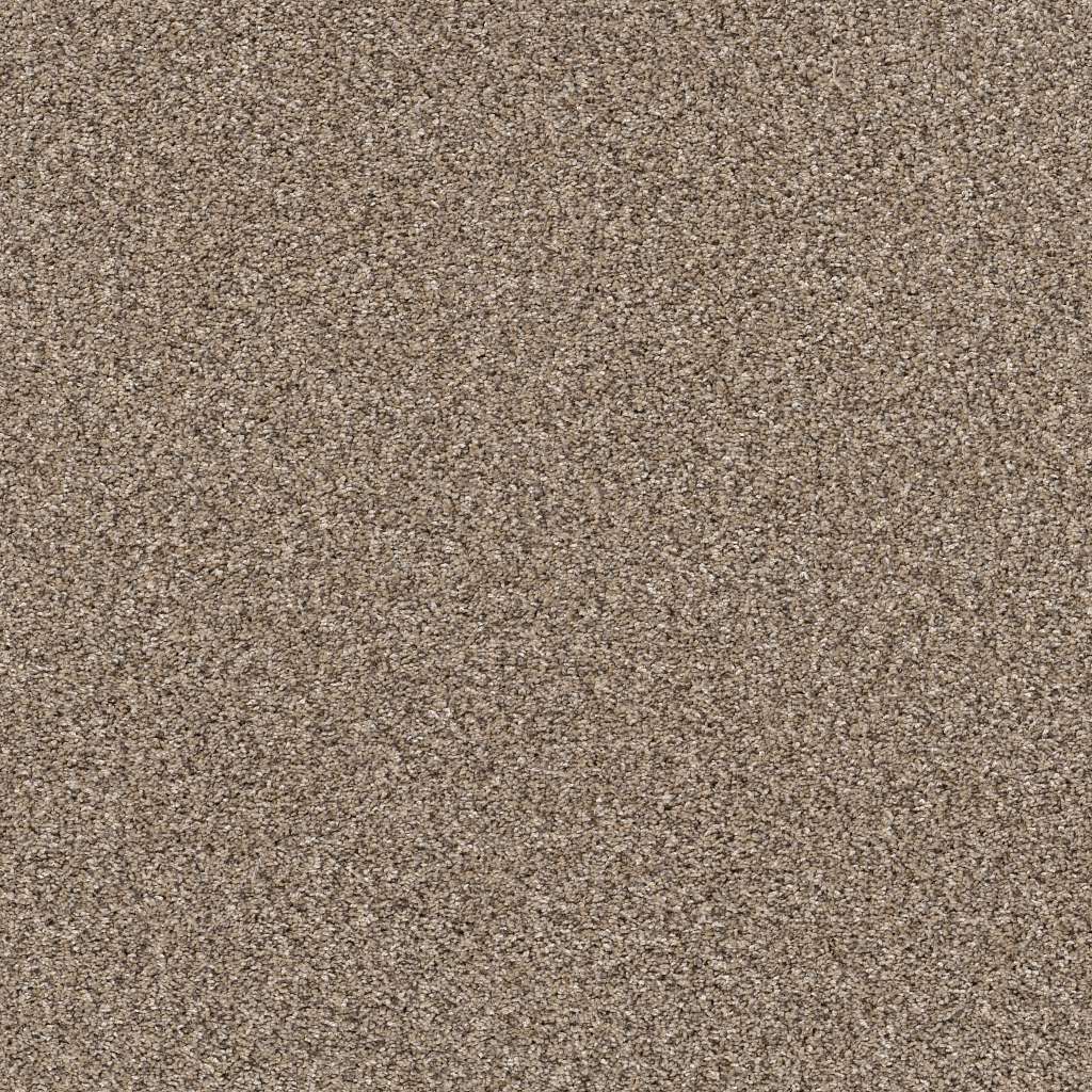 Shaw Pet Perfect Yes You Can I 15' 00100 Sea Shell Polyester Carpet ...