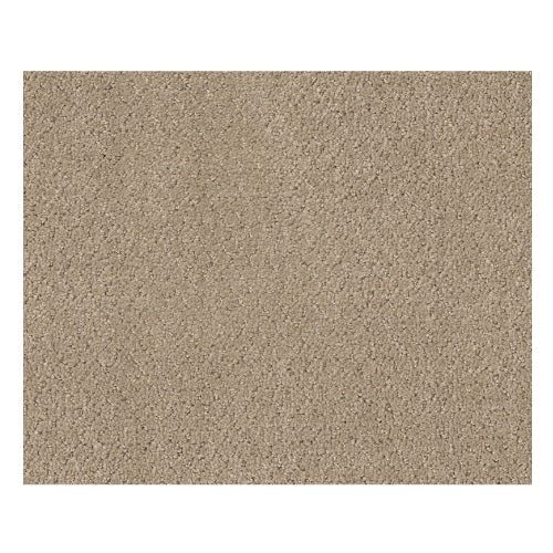 Shaw Simply Classic 00100 Sea Shell Loop Polyester Carpet — Stone ...