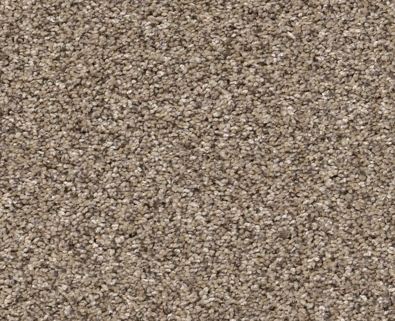 Shaw Pet Perfect Yes You Can II 15' 00100 Sea Shell Polyester Carpet ...