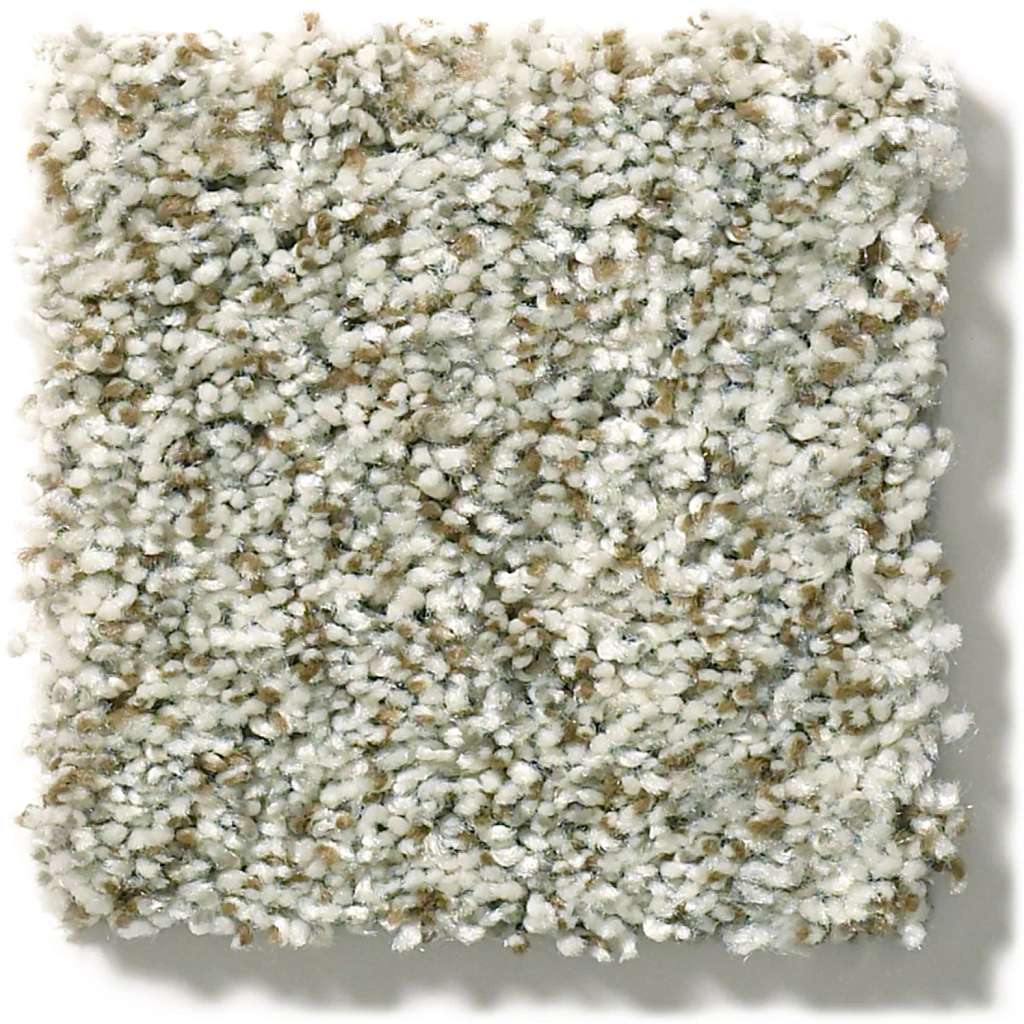 Shaw Simply The Best Cabana Life (B) 00151 Seashell Polyester Carpet ...