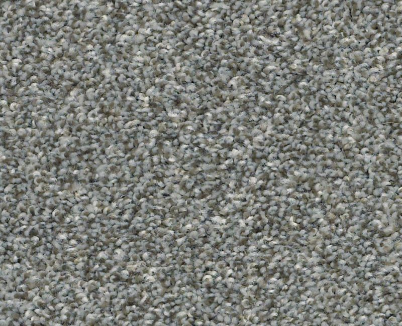 Shaw Marina II 00541 Shadow Textured Polyester Carpet | Lowest Price ...
