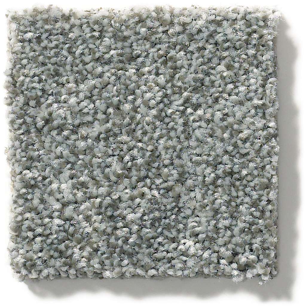 Shaw Simply The Best Cabana Life (T) 00541 Shadow Polyester Carpet ...
