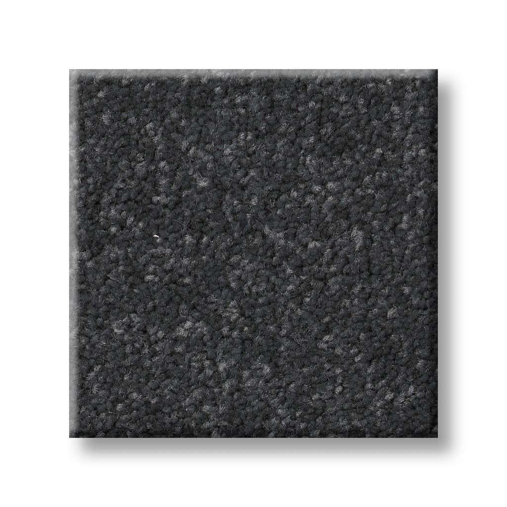 Shaw Pet Perfect Hard At Play I 12' 00502 Shadow Polyester Carpet ...