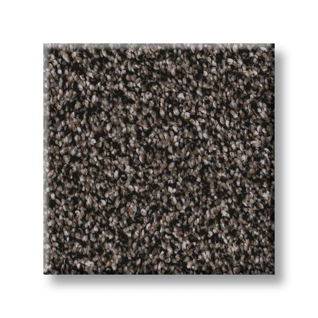 Shaw Pet Perfect Plus Points Of Color II 00504 Shadow Polyester Carpet ...