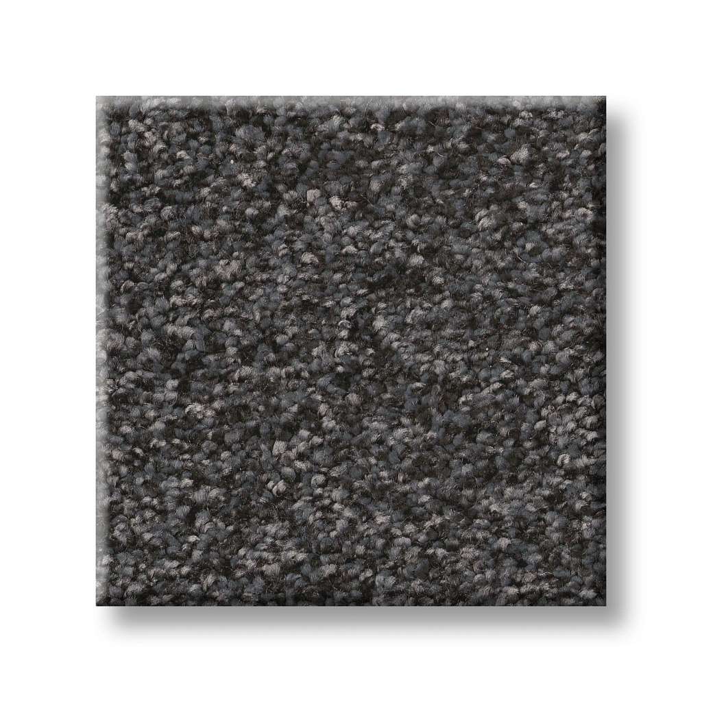 Shaw Pet Perfect You Got This III 00502 Shadow Polyester Carpet — Stone ...