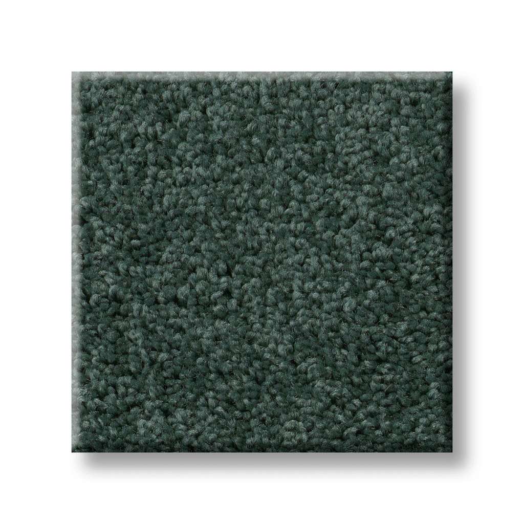 Shaw Origins II 00361 Shamrock Textured Nylon Carpet | Lowest Price ...