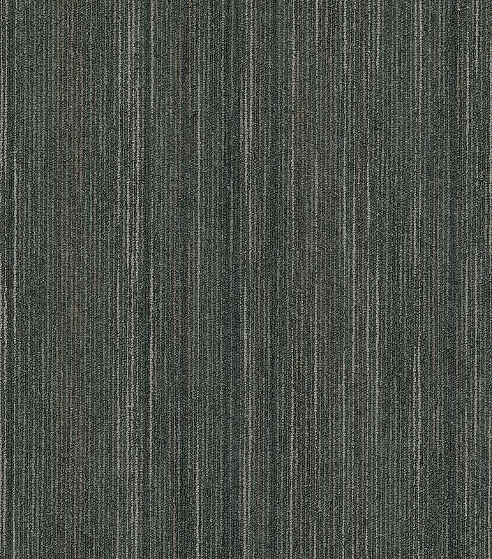 Philadelphia Commercial Design Smart Intellect 45515 Sharp Carpet Tile ...