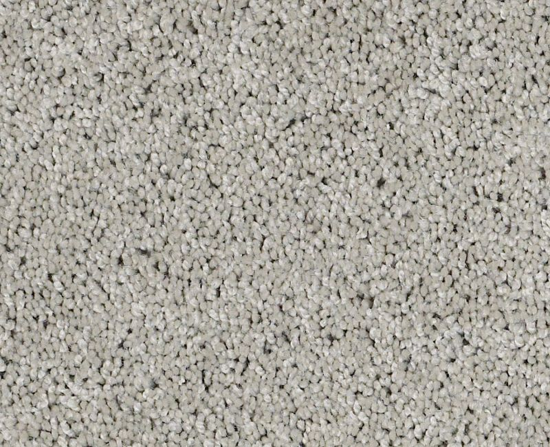 Shaw Playa Blanca 00500 Sheer Silver Textured Nylon Carpet — Stone & Tile Shoppe, Inc.