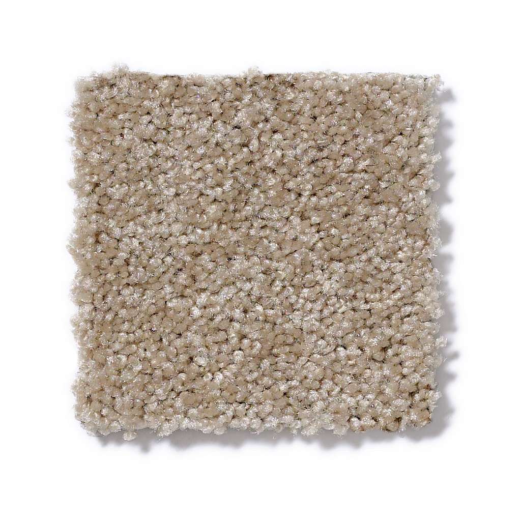 Shaw Victory 00120 Shell Island Textured Nylon Carpet | Lowest Price ...