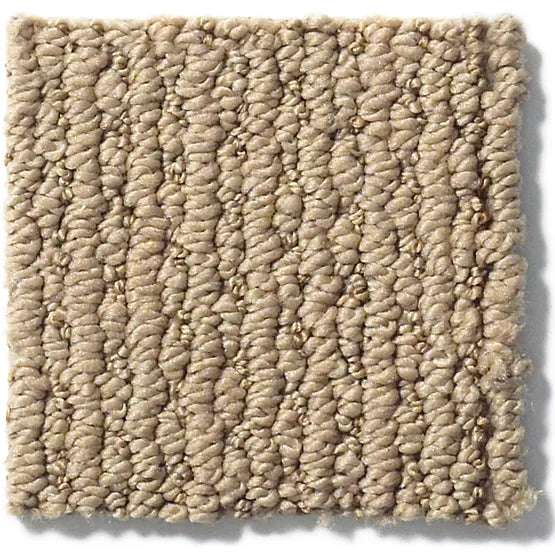 Anderson Tuftex Chapel Ridge 00224 Sierra Nylon Carpet — Stone & Tile ...