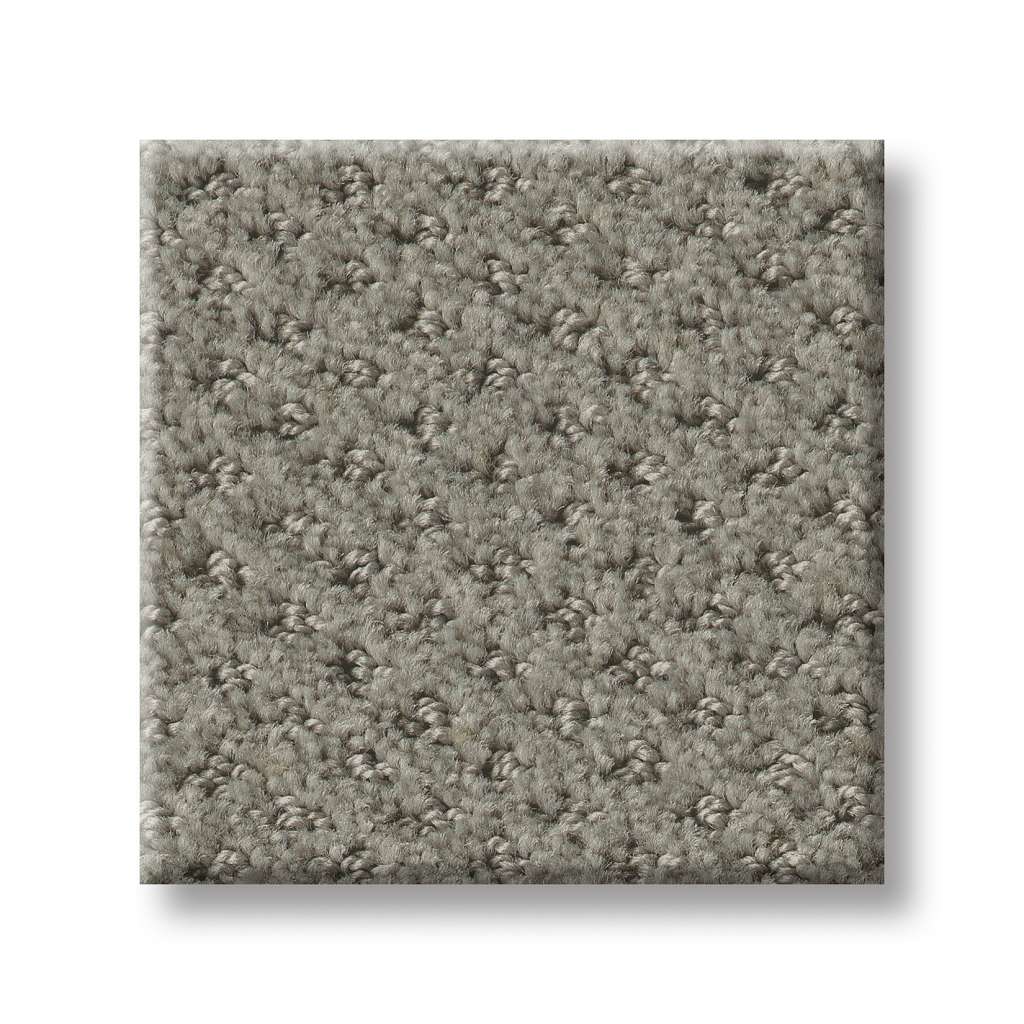 Shaw Foundations Infallible Instinct 00570 Silhouette Nylon Carpet ...