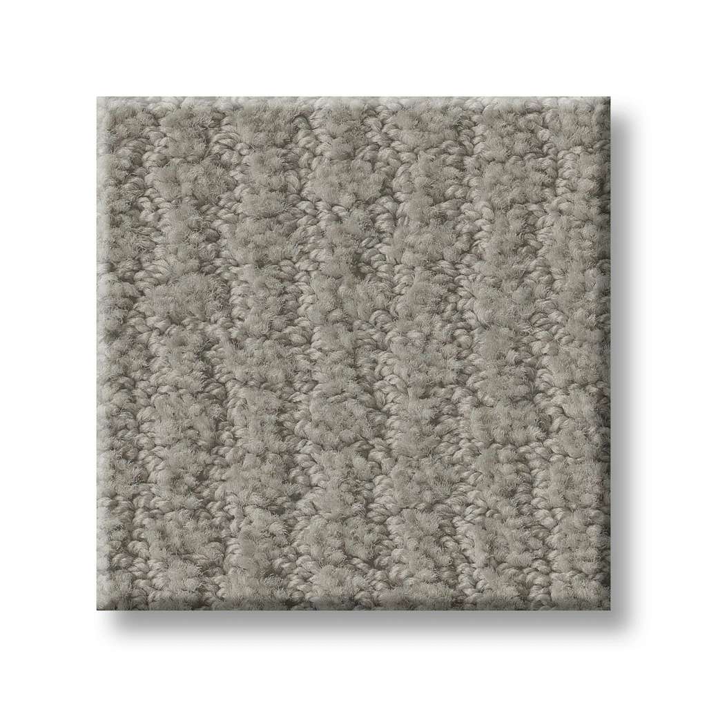 Shaw Foundations Complete Control 00570 Silhouette Nylon Carpet — Stone ...