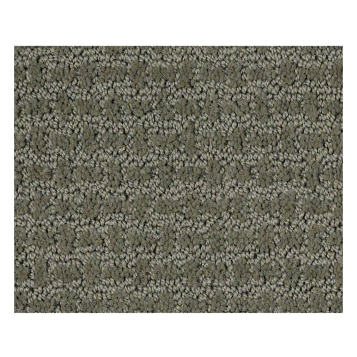Shaw Stimulate The Senses 00310 Silver Sage Pattern Nylon Carpet ...