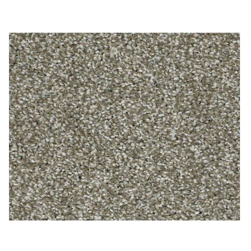 Shaw Striking 00310 Silver Sage Textured Nylon Carpet | Lowest Price ...