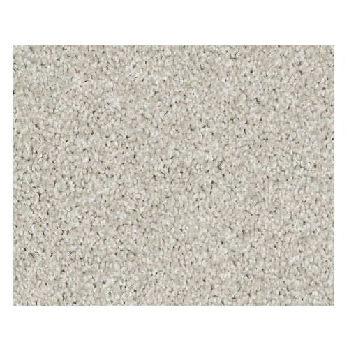 Shaw Vacation Day 28510 Silverstone Textured Nylon Carpet — Stone ...