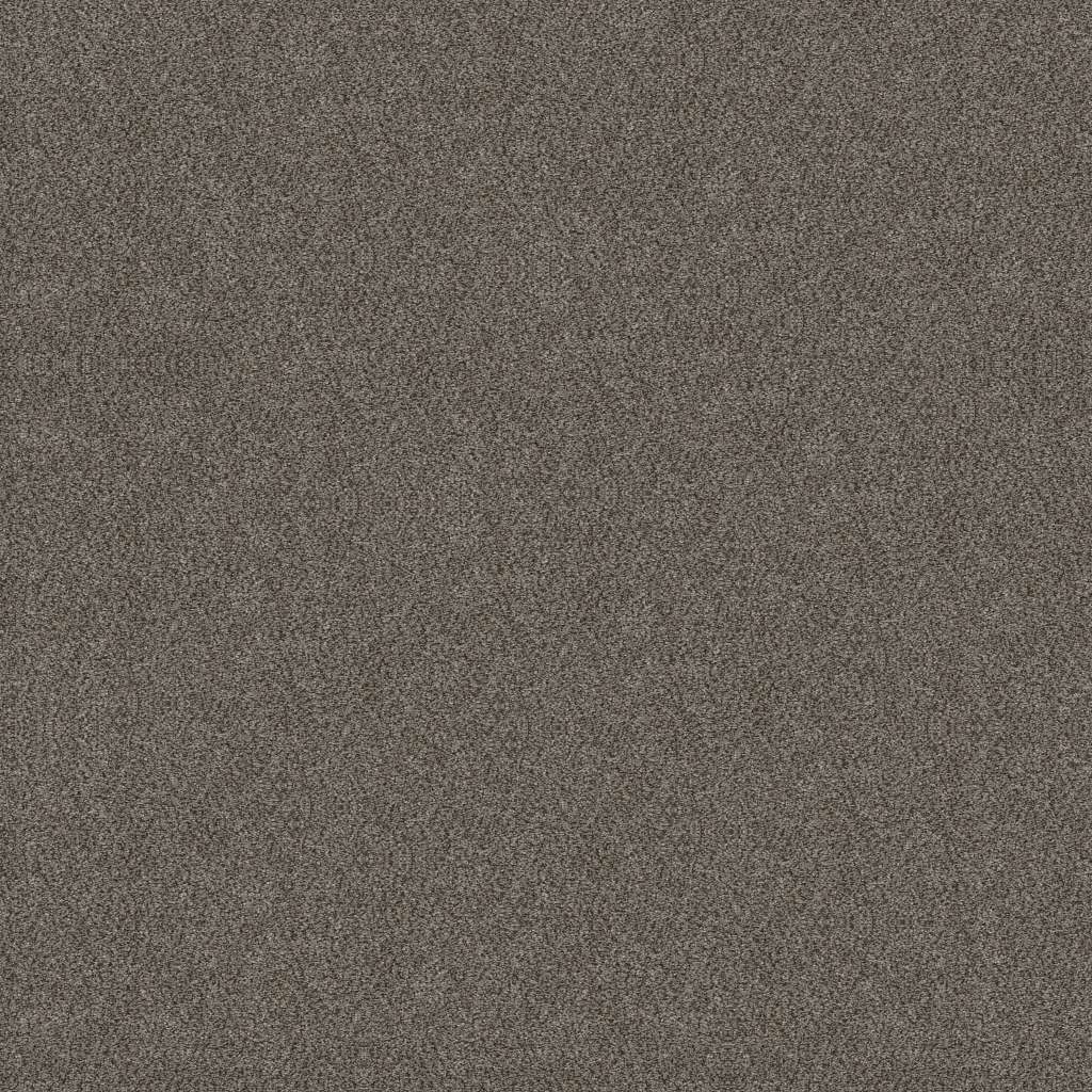 Shaw Simply The Best Boundless IV 00105 Slate Stone Polyester Carpet ...