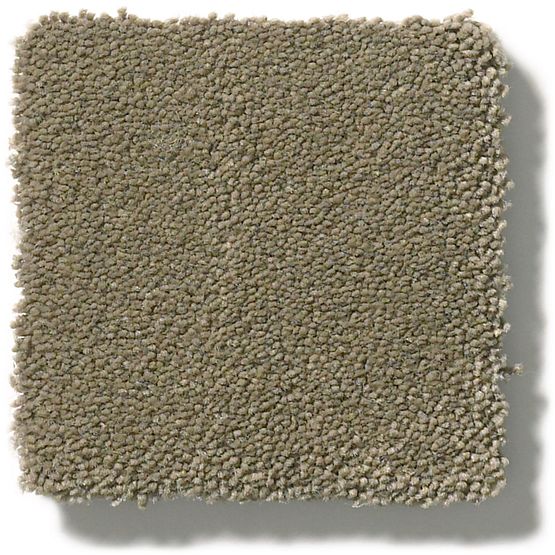 Anderson Tuftex Perfect Choice 00757 Sleek Suede Textured Nylon Carpet ...