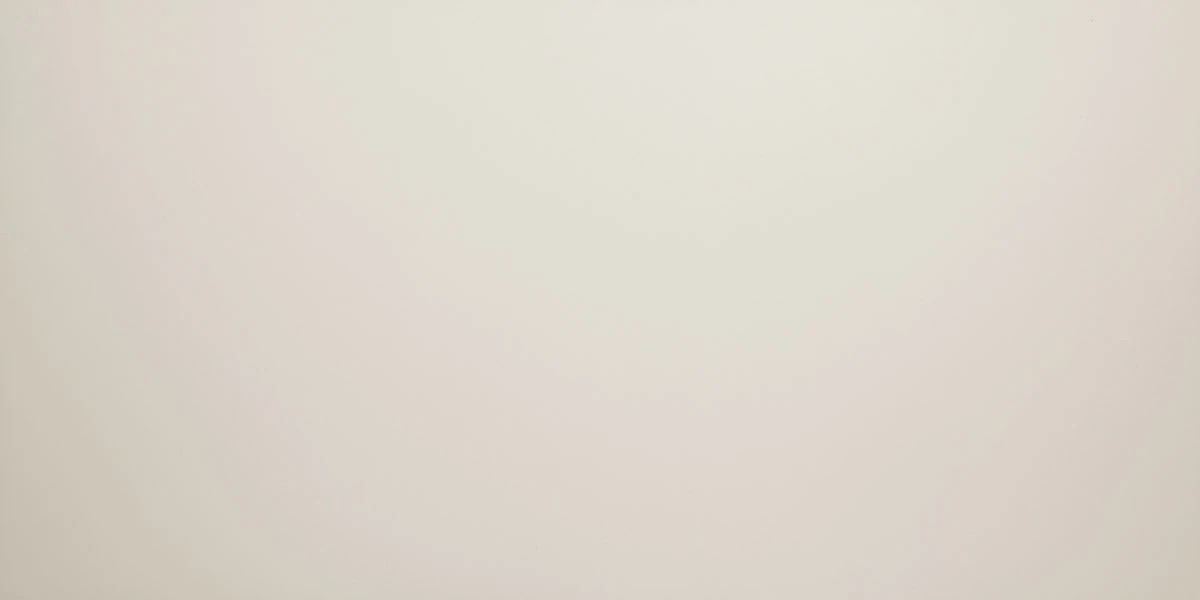 Daltile SlimLite Panel Classic TP16 Macadamia Matte Porcelain Tile ...