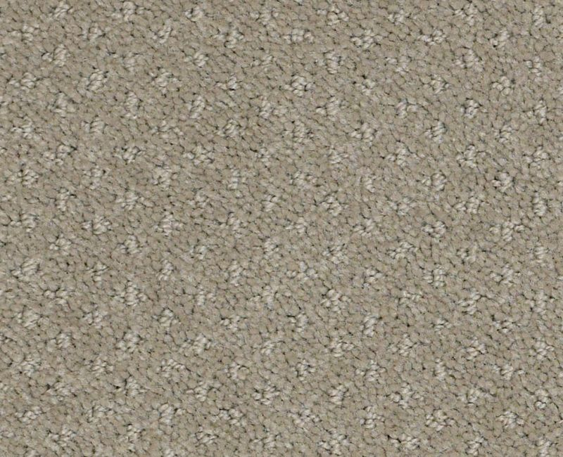 Shaw Brave Heart 00531 Slush Pattern Nylon Carpet | Lowest Price ...