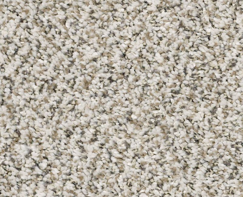 Shaw Birch Bay 2 00500 Smoky Gray Textured Polyester Carpet — Stone ...