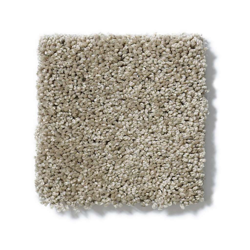 Shaw Soft Shades My Choice II 00704 Smooth Slate Textured Nylon Carpet ...