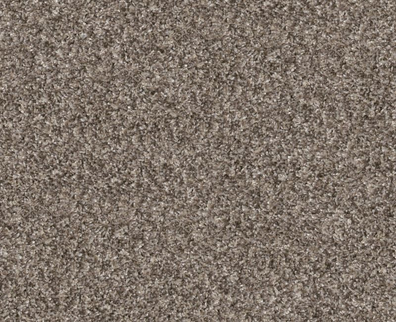 Shaw Yes You Can Ada II 12 00112 Soft Sense Textured Polyester Carpet ...