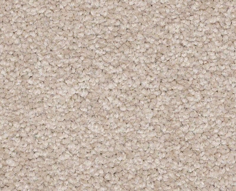 Shaw Platinum Cut Pile 15' 00105 Soft Shadow Textured Nylon Carpet ...