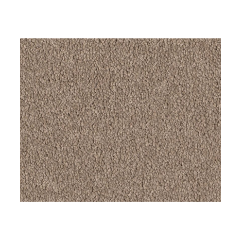 Shaw Bright Spirit I 12 00105 Soft Shadow Textured Nylon Carpet — Stone ...