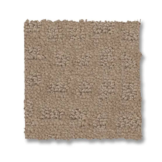 Anderson Tuftex Reawaken Solstice 00154 Spanish Sand Loop Nylon Carpet ...