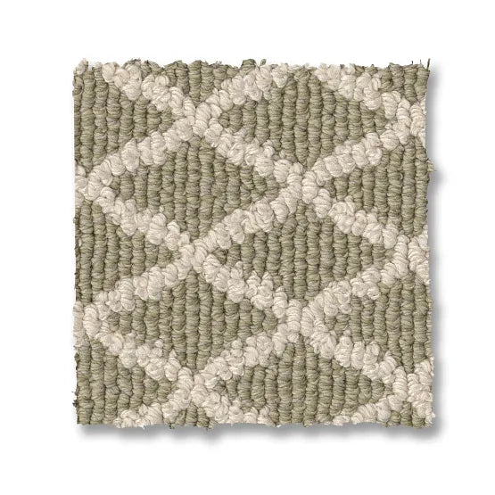 Anderson Tuftex Pet Perfect Springer's Point 00313 Spring Mist Loop ...