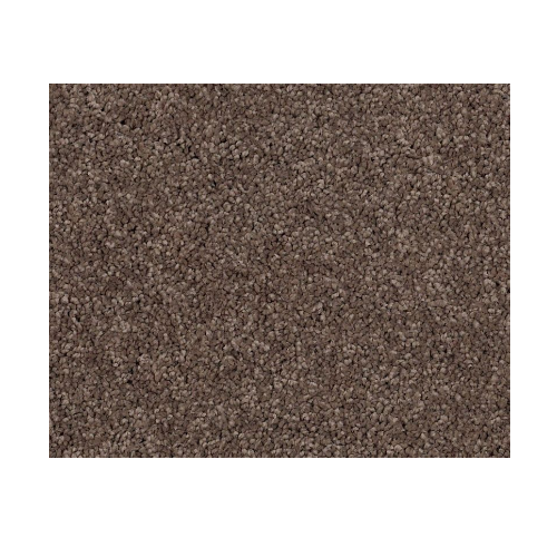 Shaw Castle PV II 00725 Spring Wood Textured Nylon Carpet — Stone ...