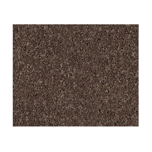 Shaw Castle PV I 00725 Spring Wood Textured Nylon Carpet — Stone & Tile ...