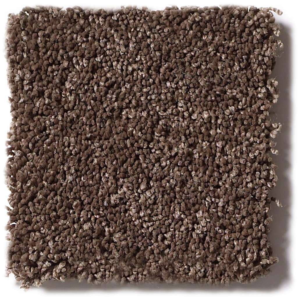 Shaw Caress By Shaw Quiet Comfort Classic I 00725 Spring Wood Carpet ...